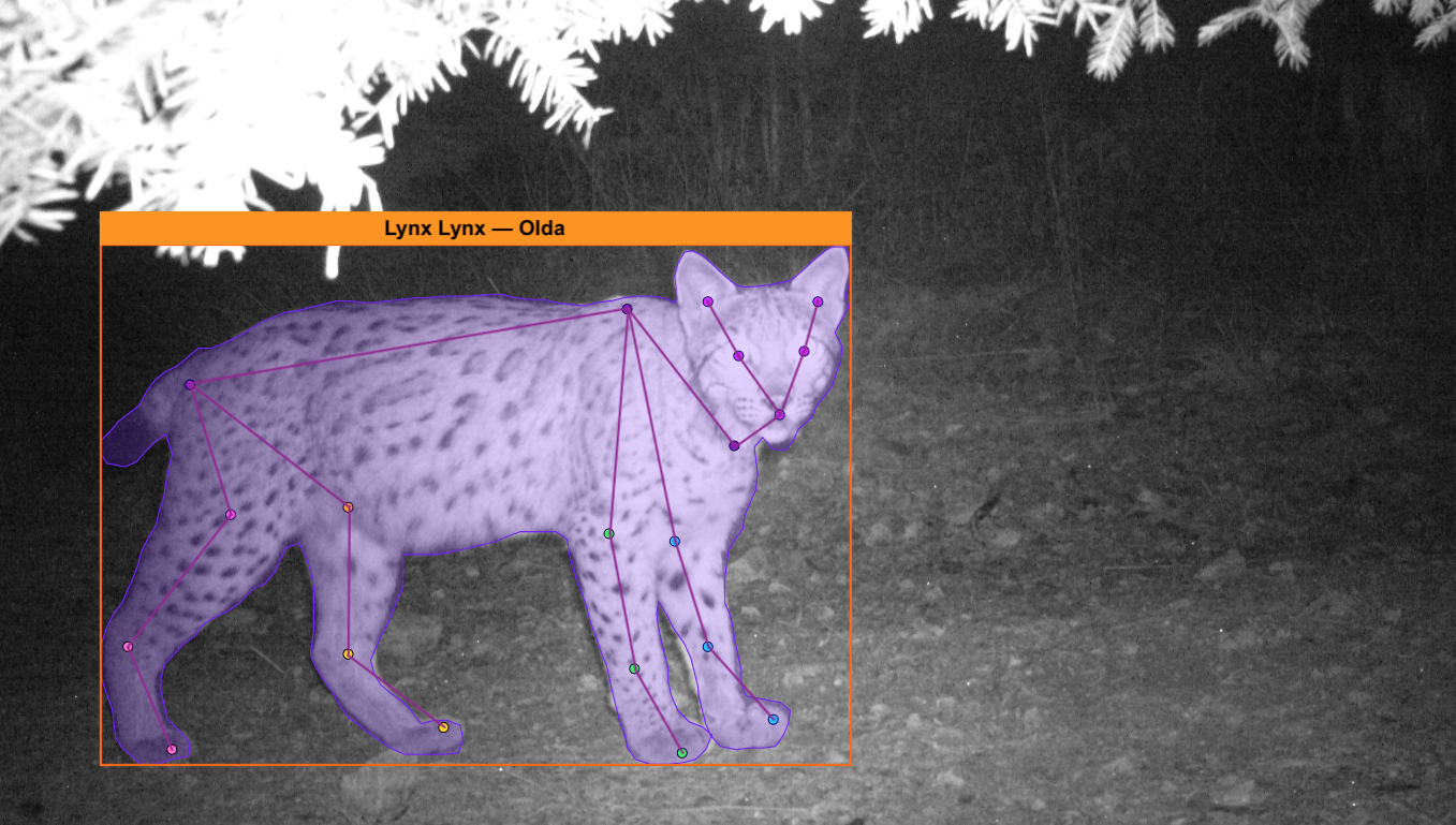 AI for Conservation Office Hours: 2023 Review | WILDLABS