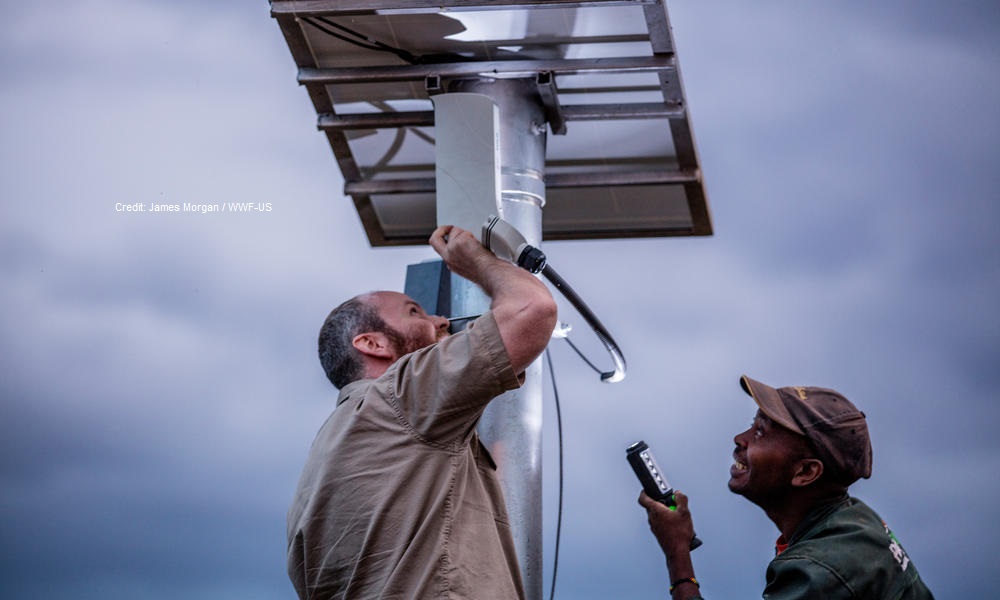 WWF develops a new technology to stop poachers in their tracks | WILDLABS